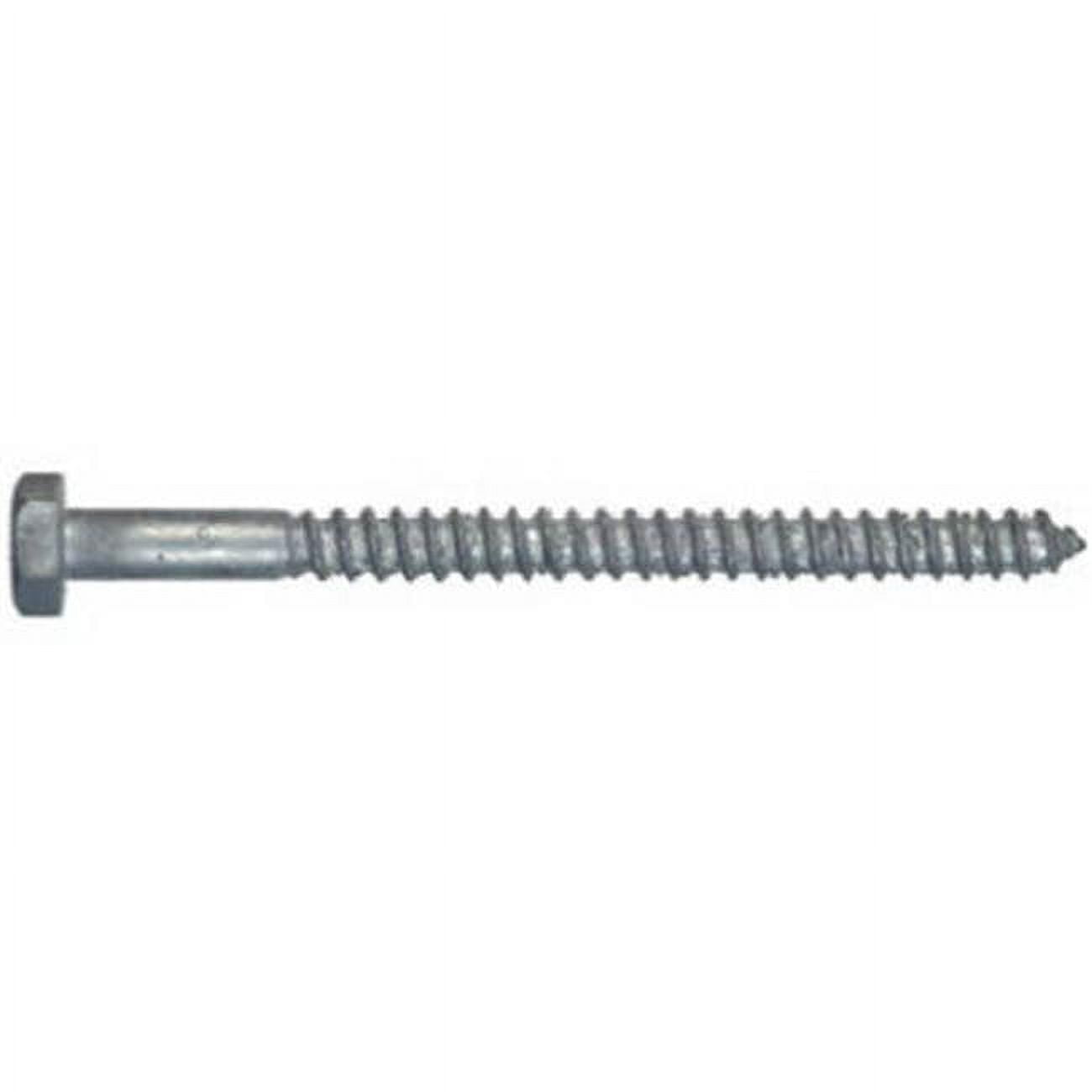 812101 0.5 x 5 in. Galvanized Steel Hex Head Lag Bolt, 25 Pack ...