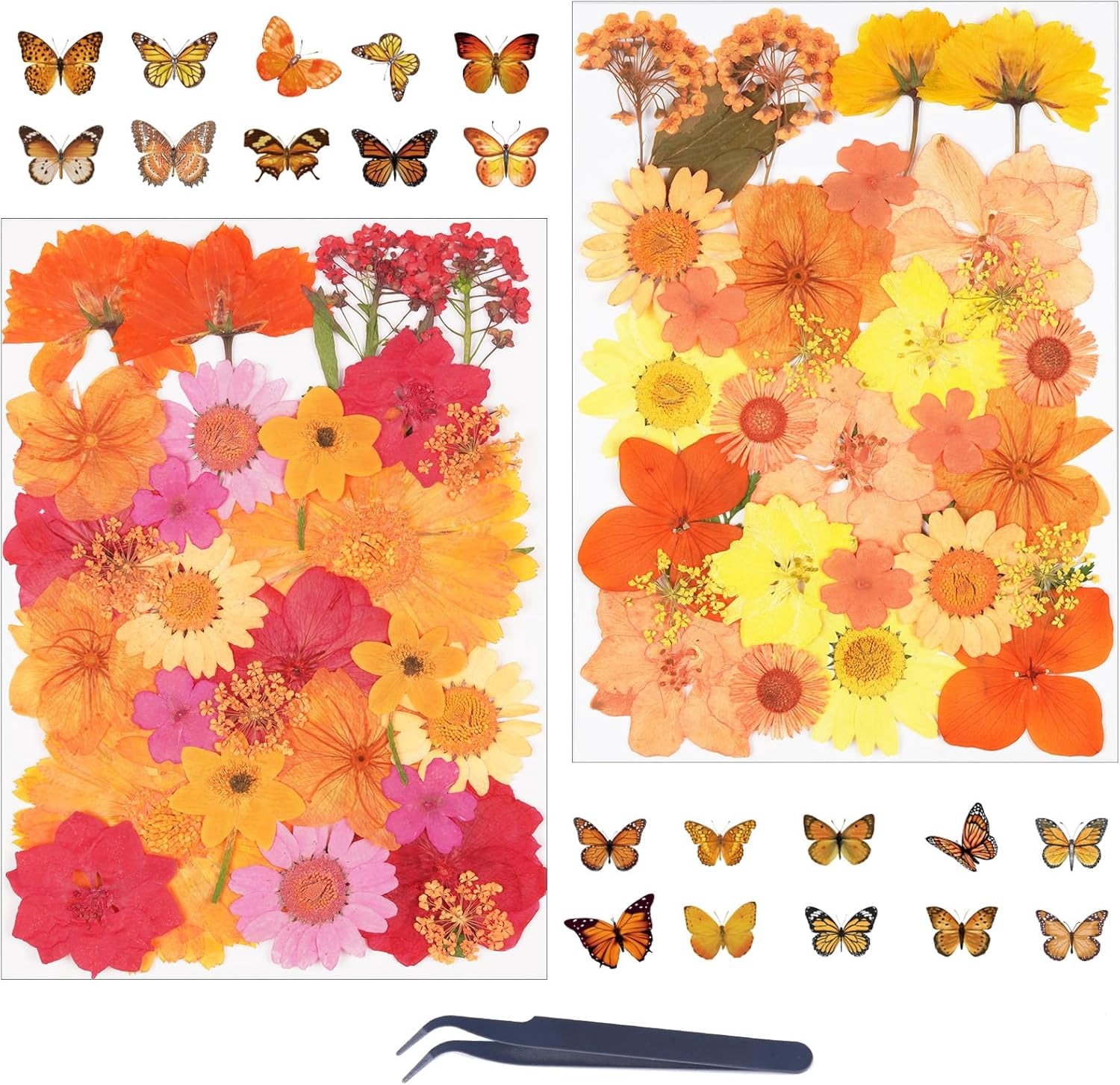 81Pcs Dried Fall Pressed Flowers for Crafts,YANTONG Dry Flower Kit for ...