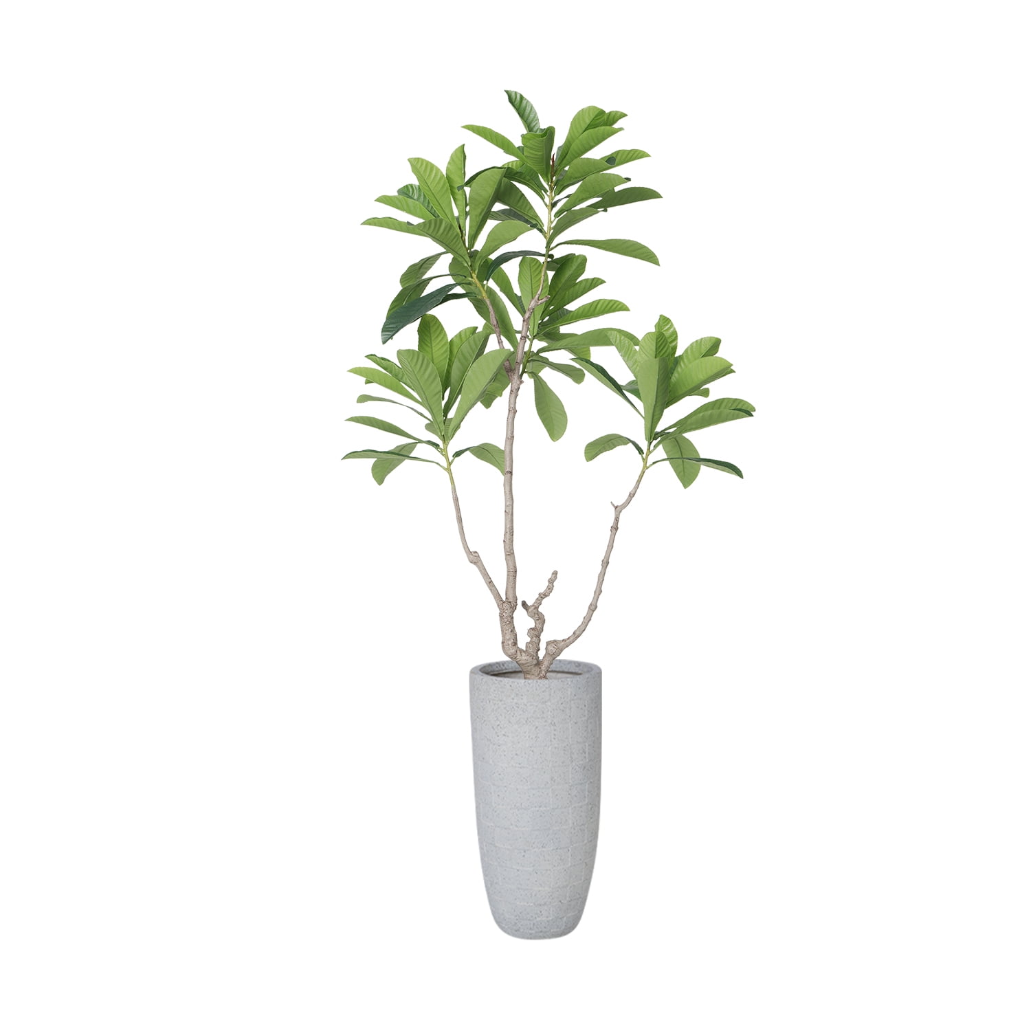 84.3'' Artificial Japanese Blueberry tree in a Tall beige checkered ...