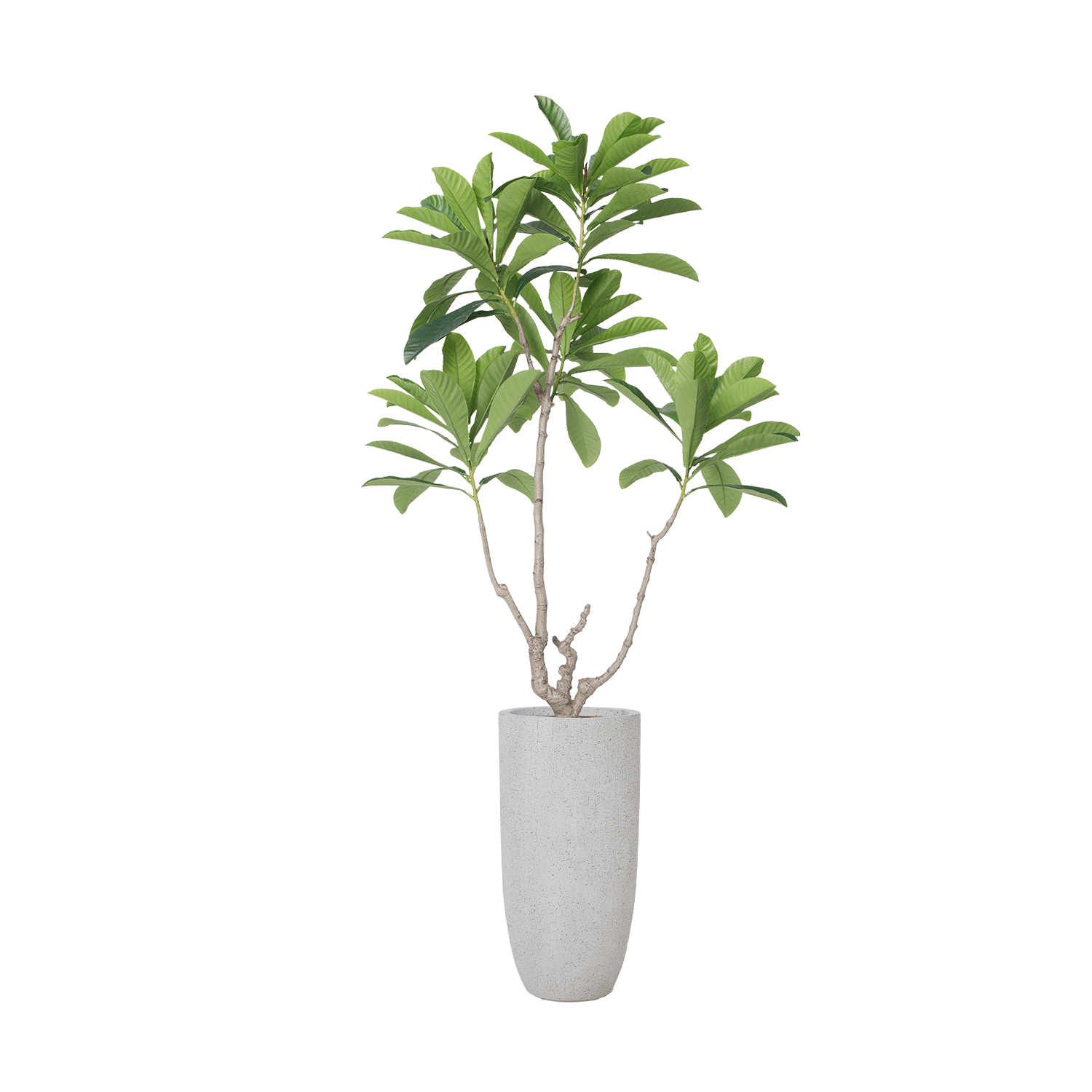 84.3'' Artificial Japanese Blueberry tree in a tall beige fiberstone ...