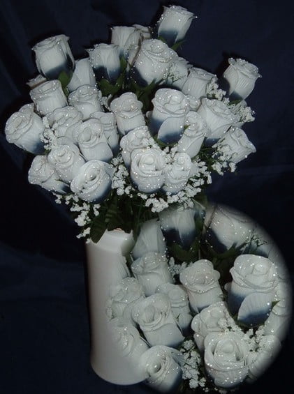 Navy Blue And White Roses