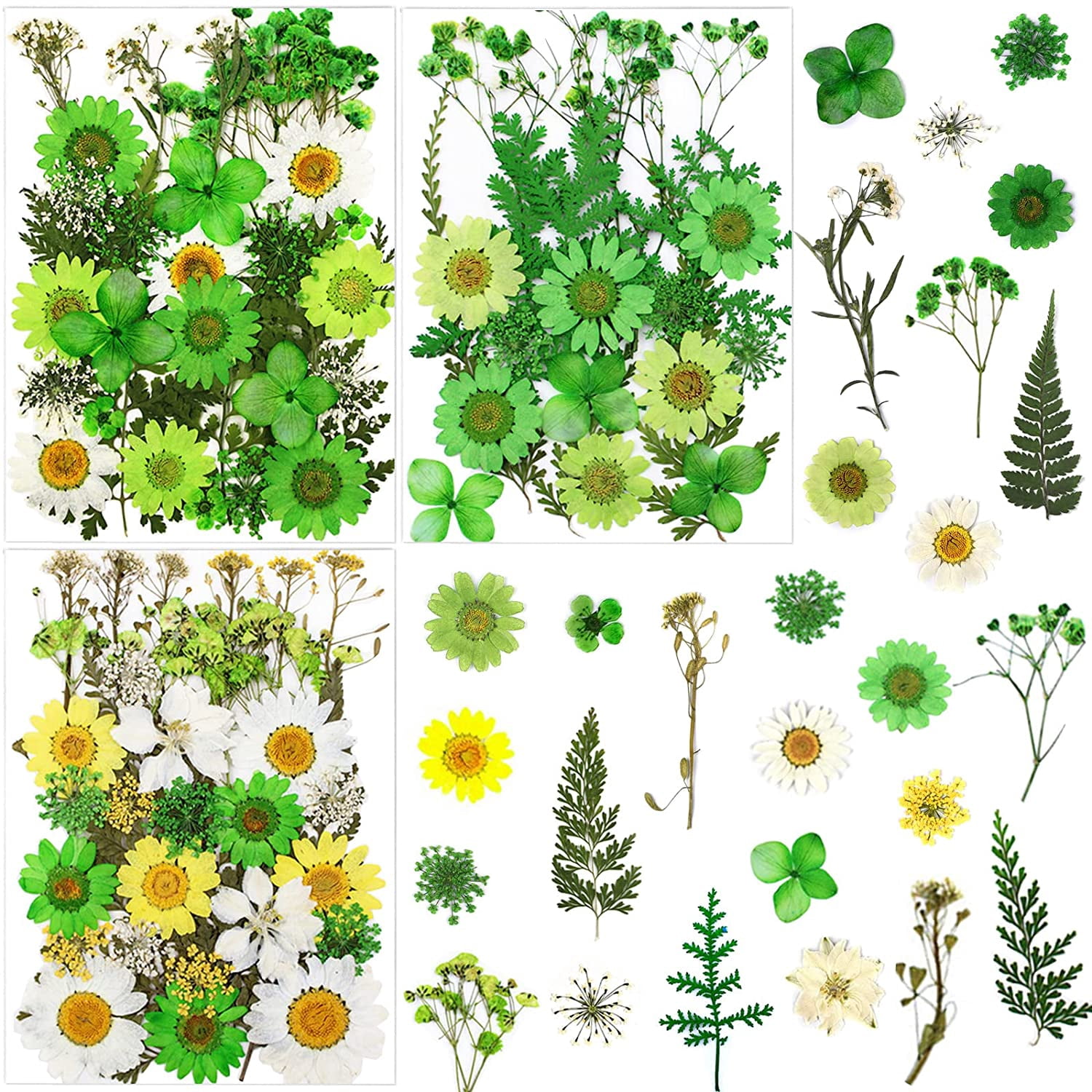 84 Pcs Green Dried Pressed Flowers Real Natural Leave for DIY Resin ...