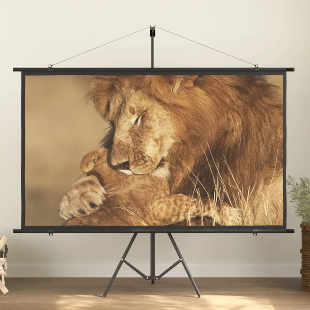 84-inch 16:9 Electric Projection Screen with Remote Control - Crisp ...