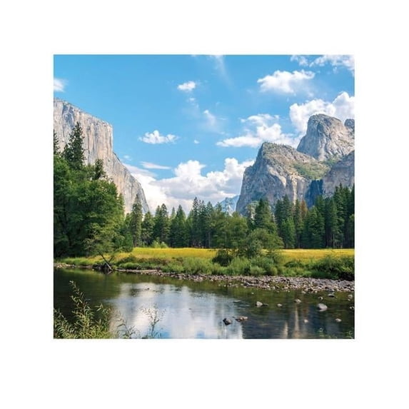 84 x 88 in. Yosemite Valley Backdrop Life-Size Cardboard Cutout ...