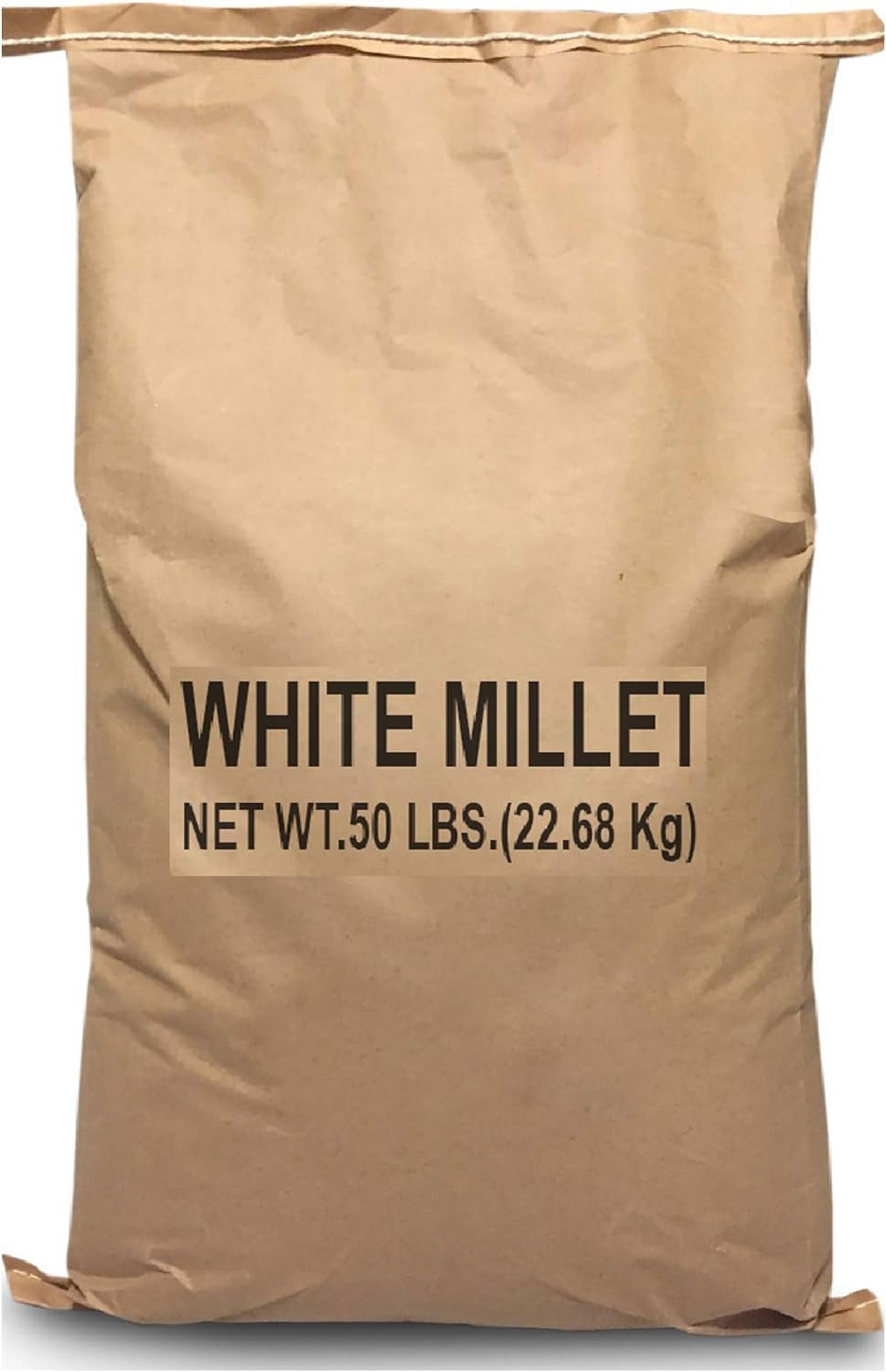 Shafer Seed Company White Proso Millet, Wild Bird Food, 50-Pound ...