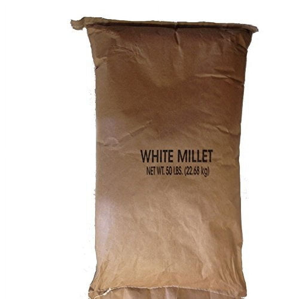 84075 White Proso Millet Wild Bird Food, 50-Pound - Walmart Business ...