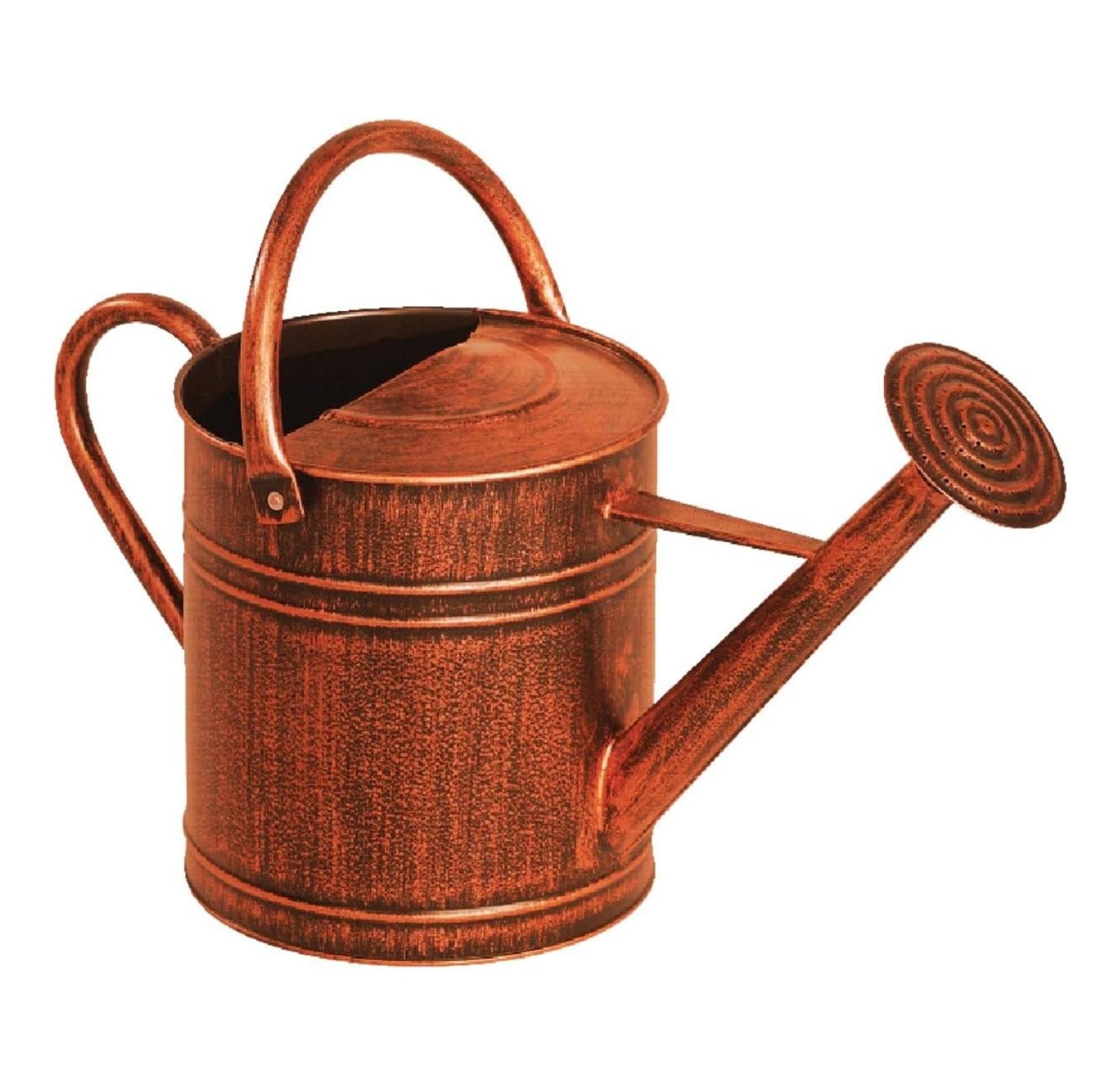 84872 2 Gallon Brushed Bronze Watering Can - Walmart.com