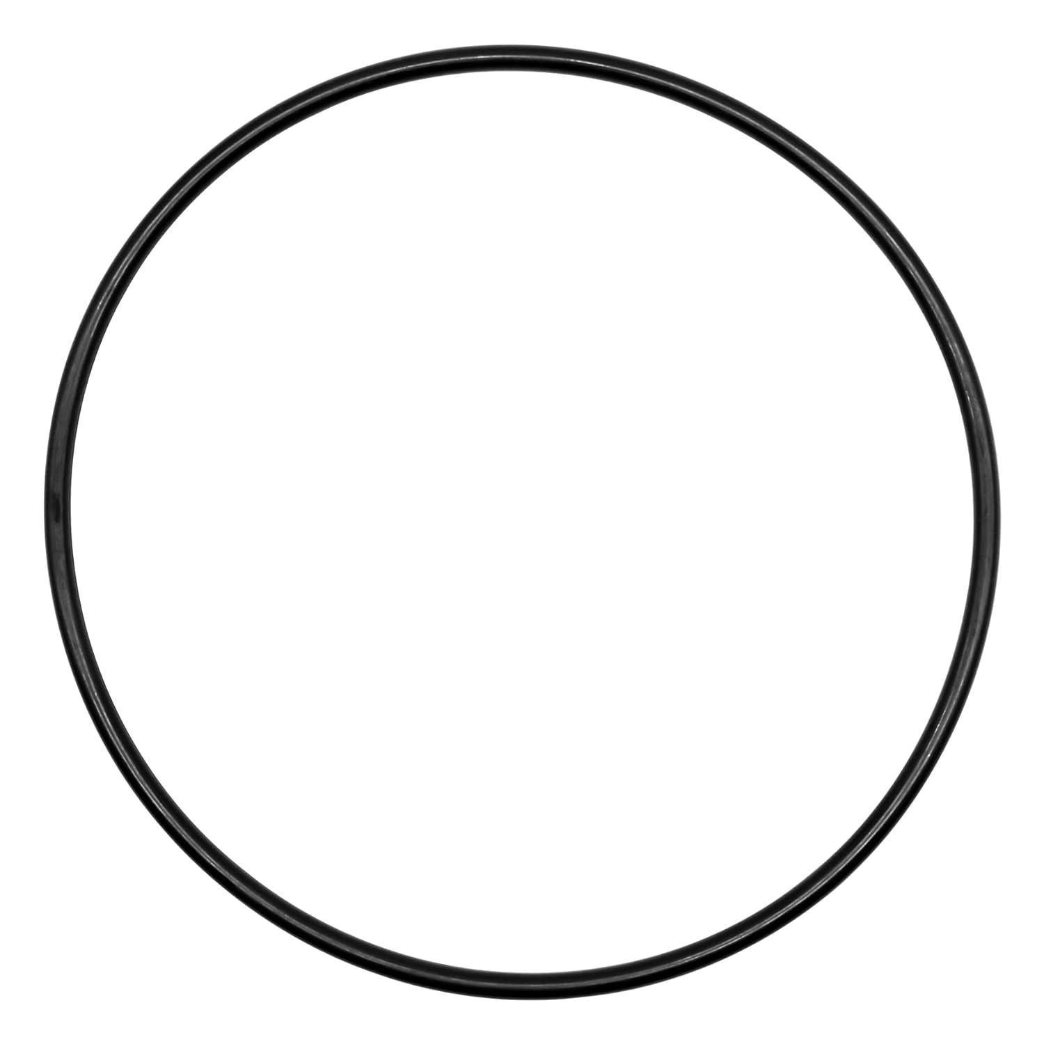 87300400 Body Filter O-Ring Replacement for Pen-tair Clean & Clear ...