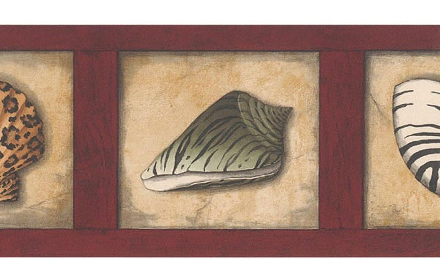 878119 Seashells Wallpaper Border 30896250 - Walmart.com