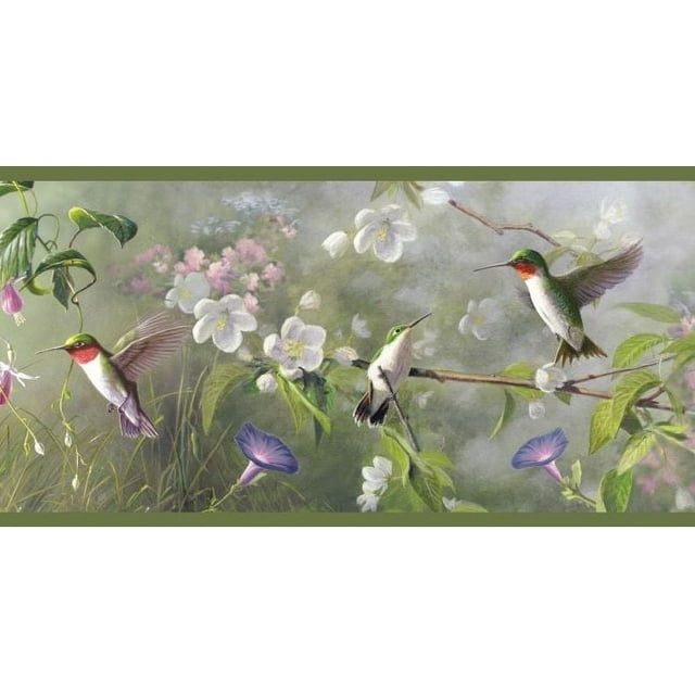 878474 Hummingbirds Wallpaper Border HTM48532b - Walmart.com