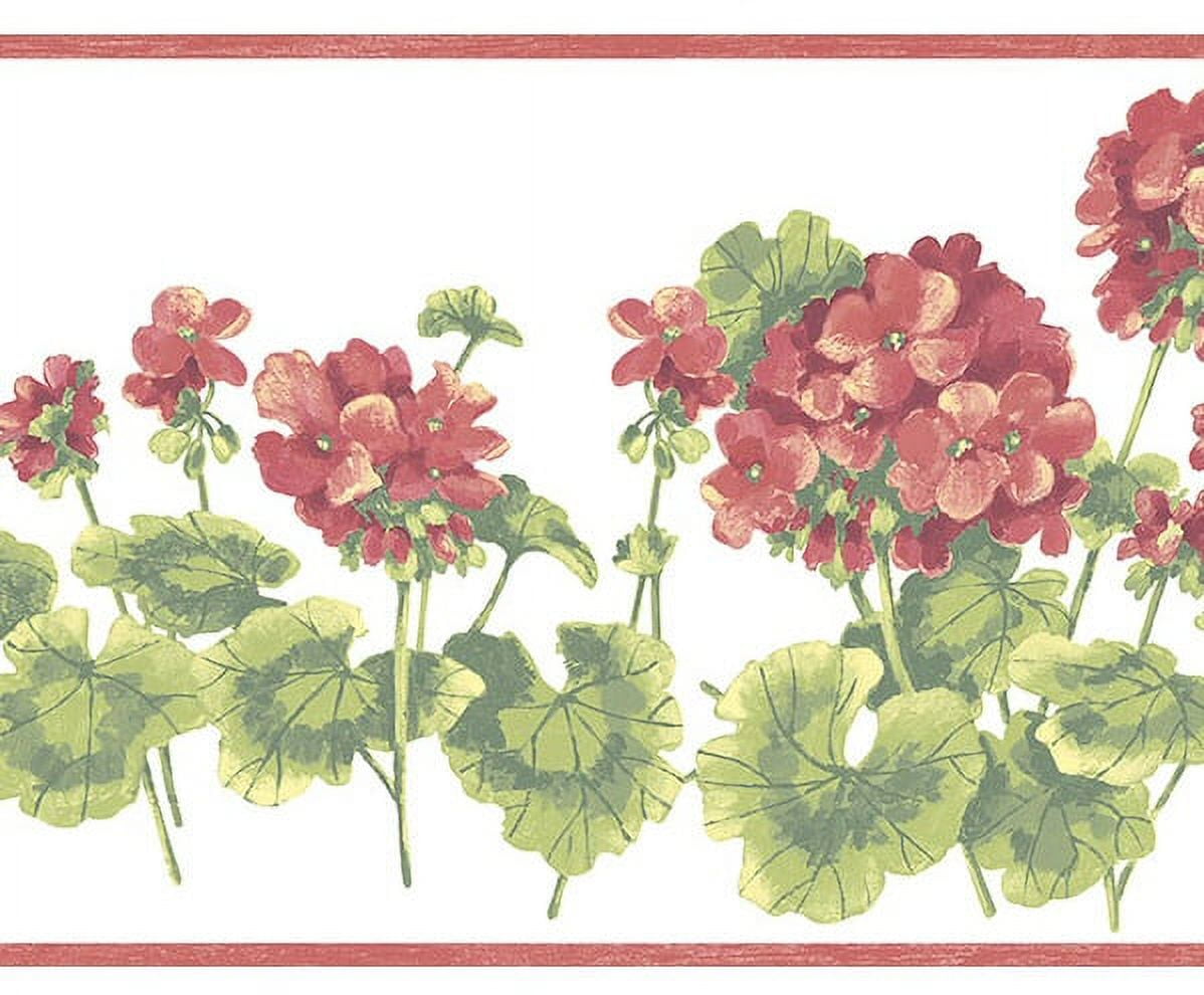 879410 Geranium Wallpaper Border KC78355 - Walmart.com