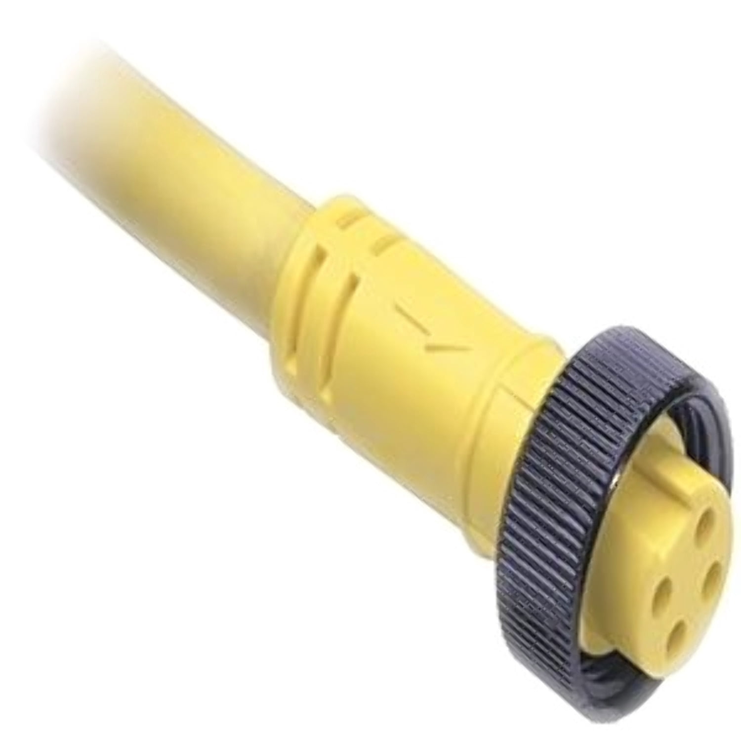 889N-R3AFC-12F Cordset, Mini/Mini Plus, 3 Pin, Right Angle Female ...