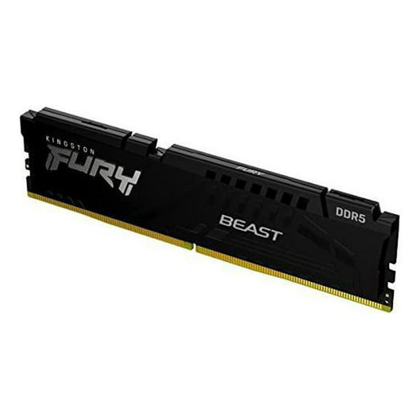Free Shipping! 8GB Kingston FURY Beast DDR5 5600MHz CL40 Memory Module ...