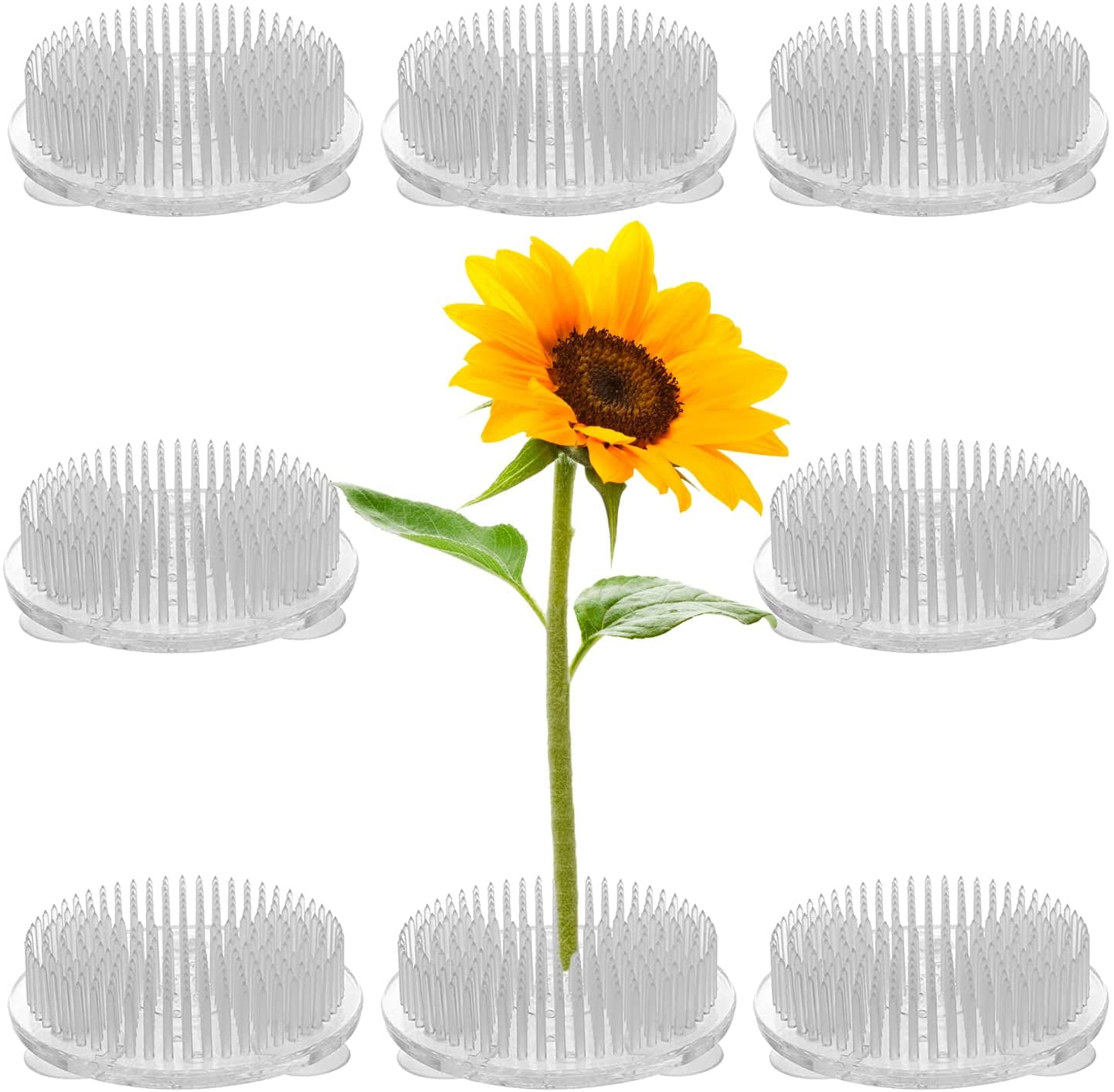 8PCS 2.75 Inch Clear Plastic Flower Frog Pin Holder, Round Flower ...