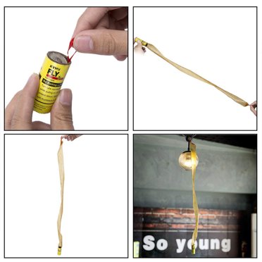 JIEYAN 4 Rolls Sticky Fly Paper, Indoor Hanging Pest Catcher Trap to ...