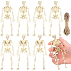 Mini Skeleton