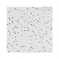 "USG Interiors Pro Series Radar Ceiling Tile, 2'x4'x5/8"", Square-Edge ...