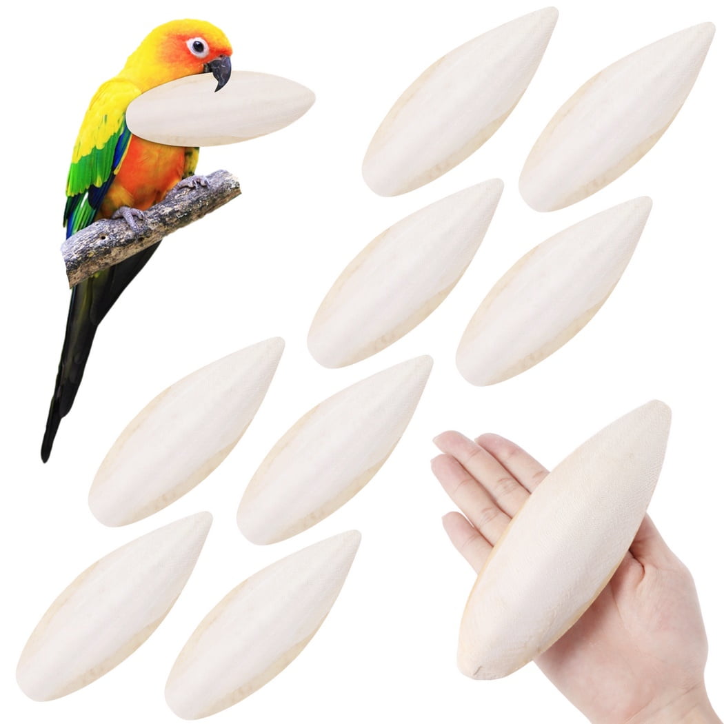 8Pcs Birds Cuttlebone Toys, Cuttlefish Bone Chewing Bird Toys, Calcium ...