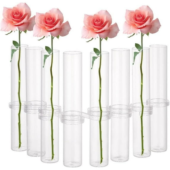 8Pcs Glass Test Tube Vases with 14Pcs S-shaped Hooks 1x6 Inch ...
