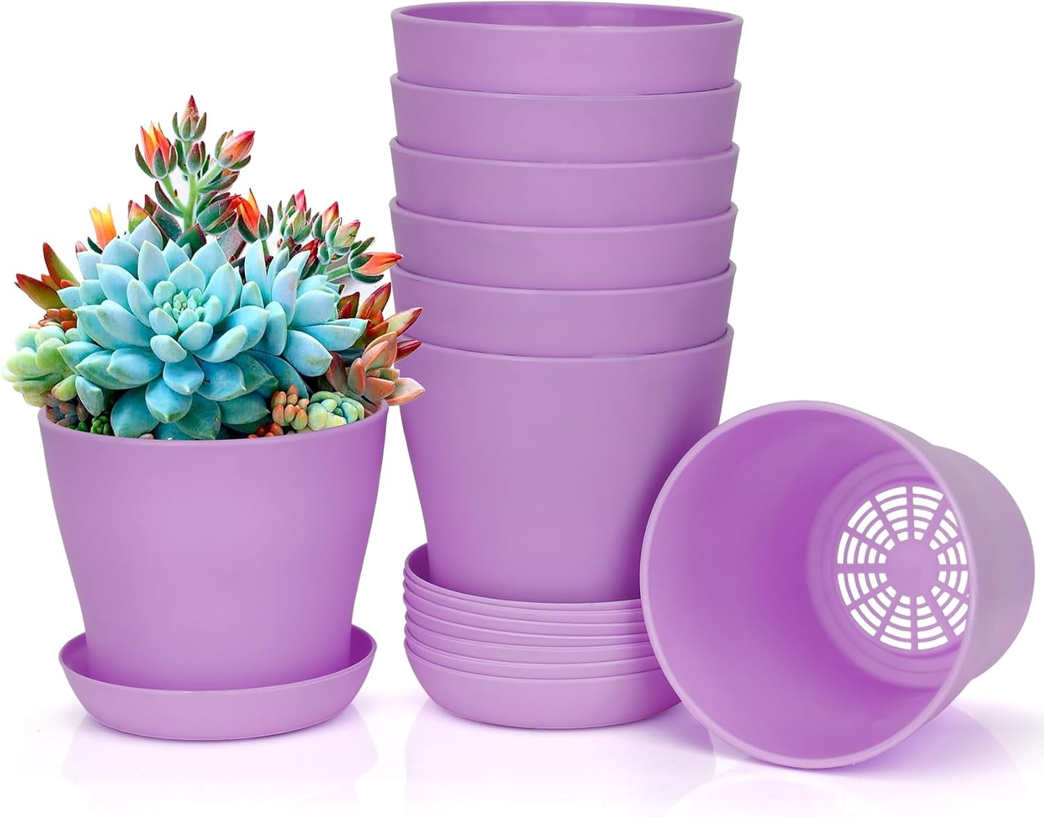 8Pcs Succulent Pots,3.8Inch Plastic Flower Pots, Nursery Pots for ...