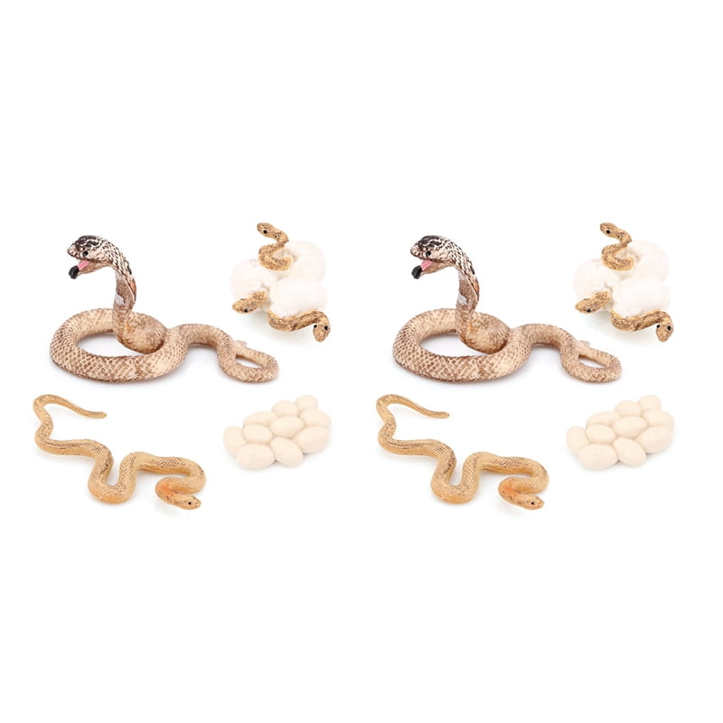 8X Realistic Animal Life Growth Cycle Biological Model Toys Snake ...