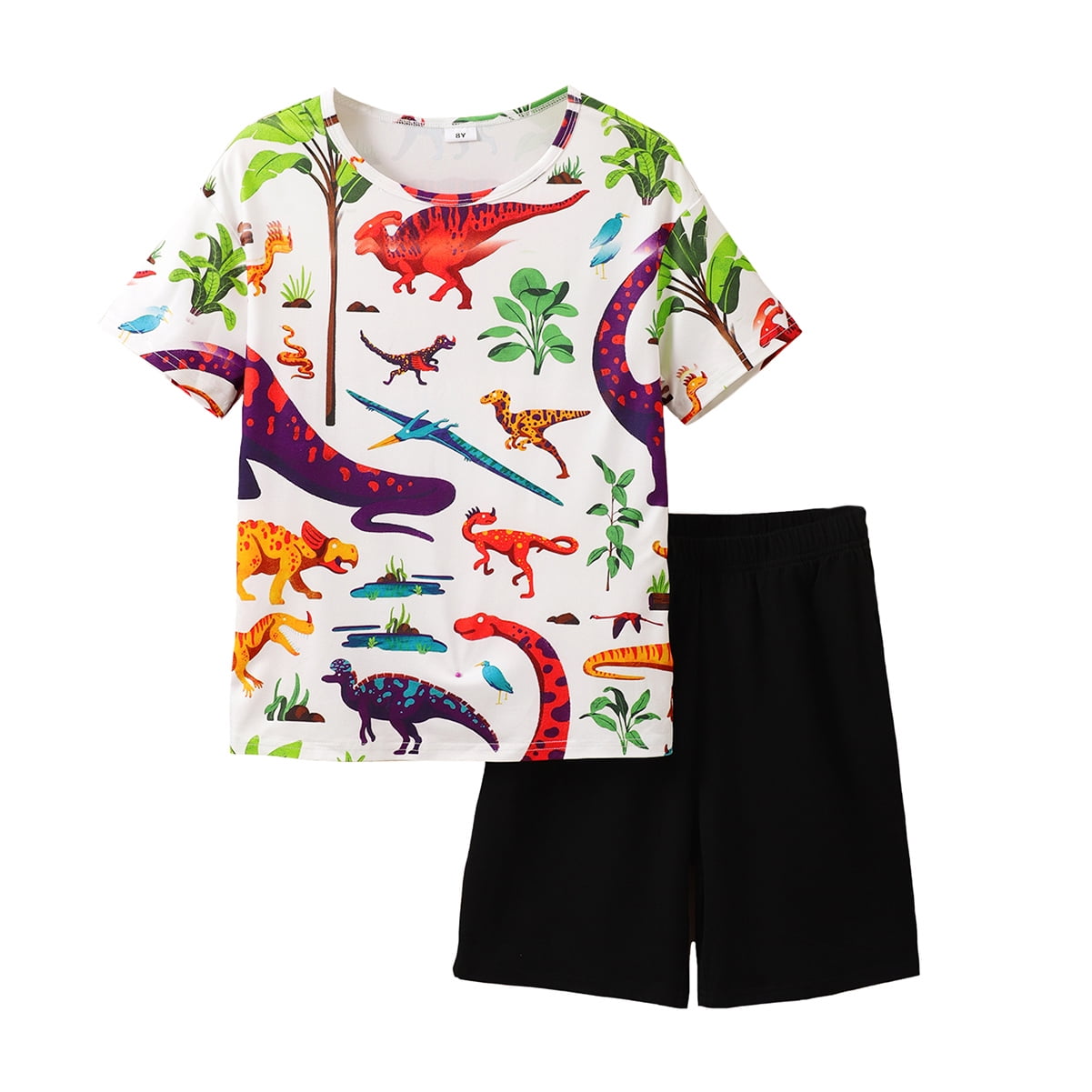 8Y Big Boys Clothes 8Y Boys 2PCS Summer Outfits Set Dinosaur Print ...