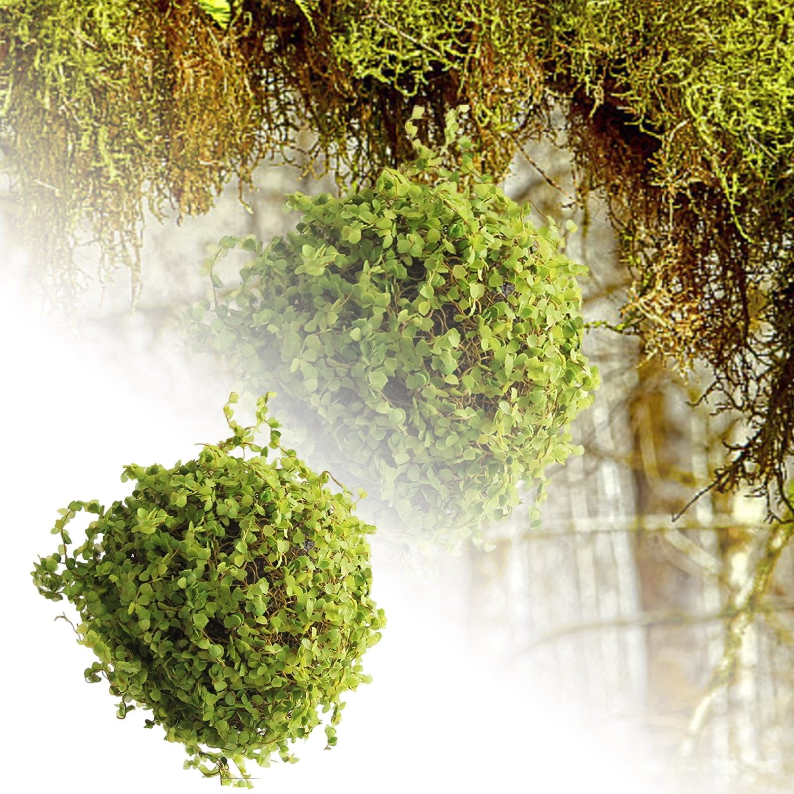 8cm For Indoor Outdoor Use Greenery For Garden Home And Party Flowers ...