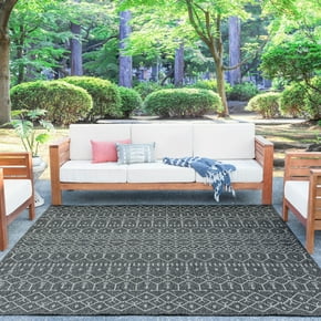 Indoor/outdoor Entryway Rugs