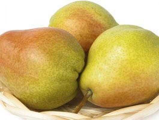 8lb Colossal Comice Pear Fruit Box - Walmart.com
