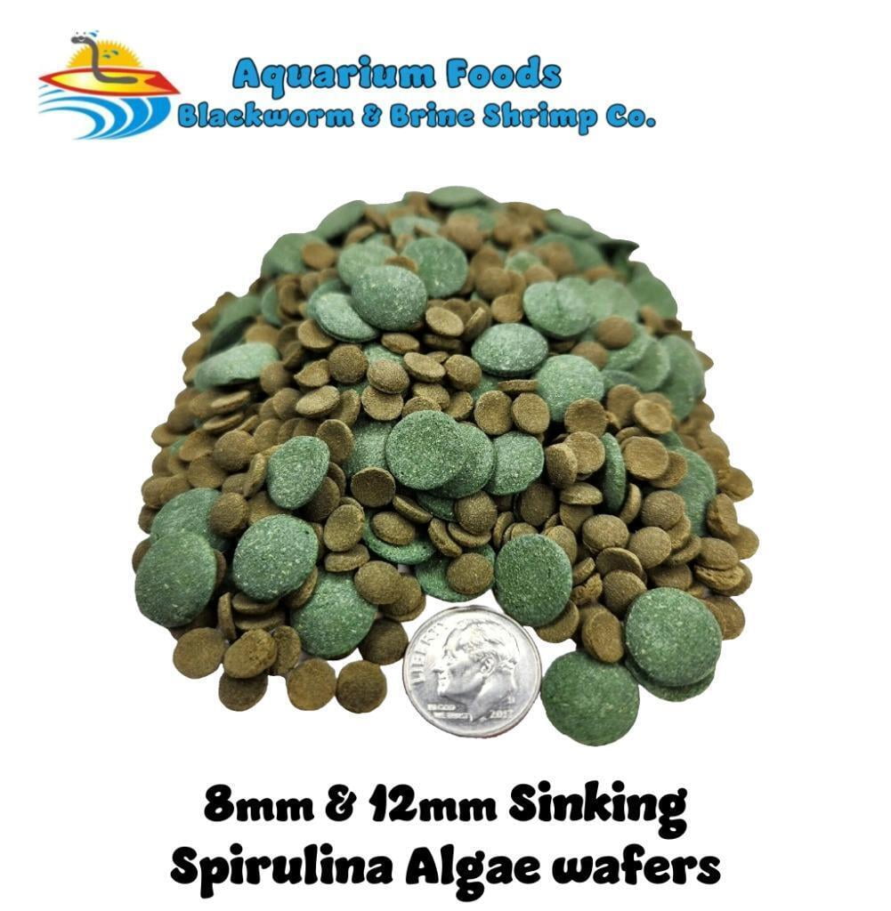 8mm & 12mm Sinking Spirulina Algae Wafers Tropical Fish Food - Mixed ...