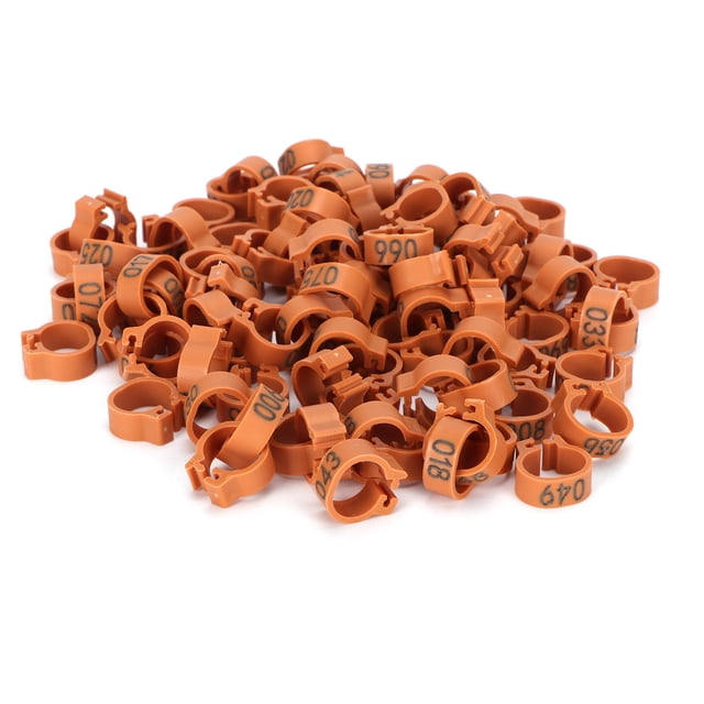 8mm Coffee-Colored Bird Leg Bands, Set of 100, for Unique Poultry ...
