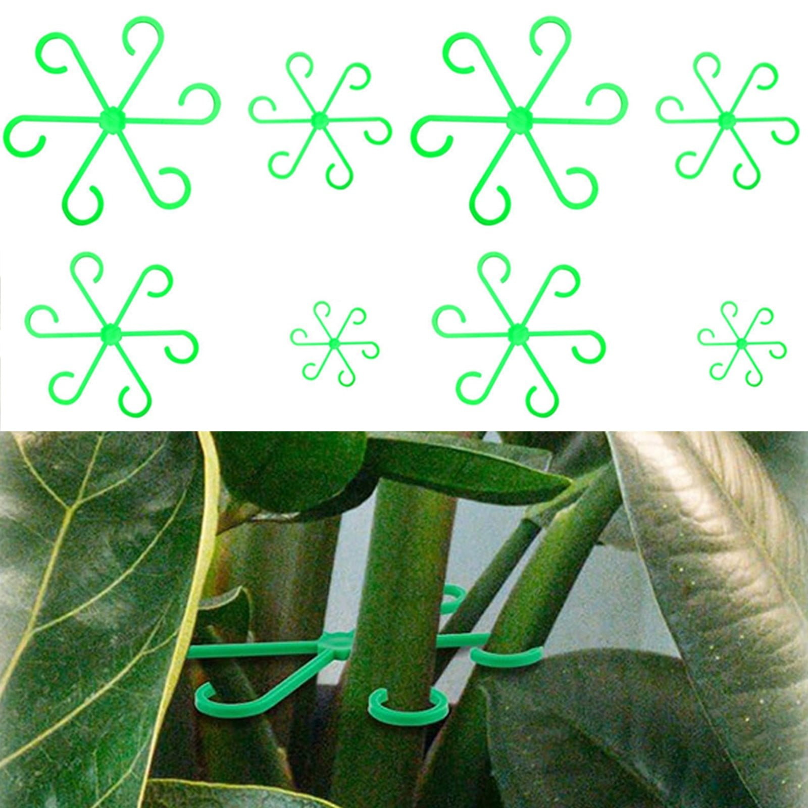 8pcs Climbing Houseplant Stem Supports, Plastic Plant Climbers Stem ...