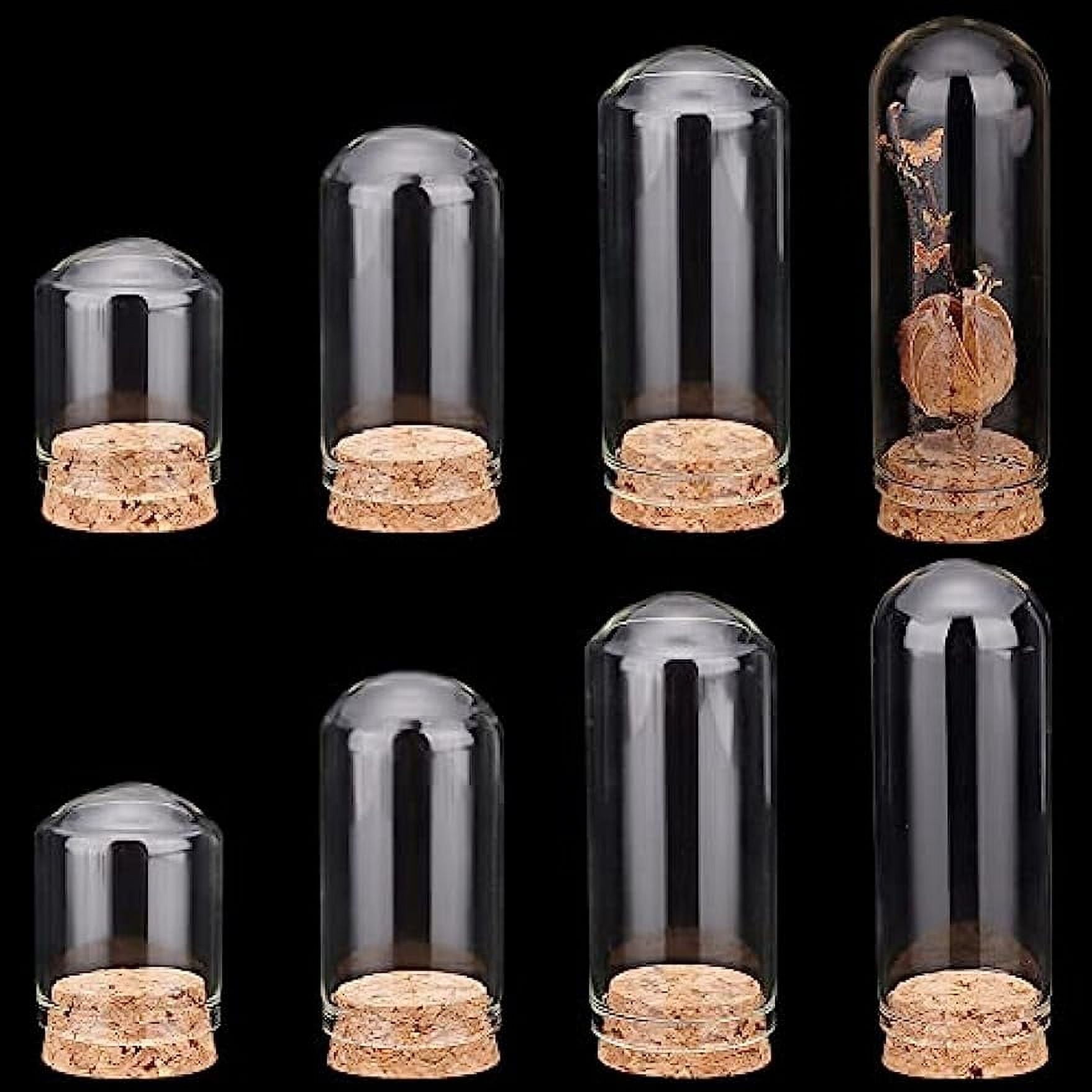 8pcs Cloche Bell Jar 4 Sizes Glass Display Dome with Cork Base Mini ...
