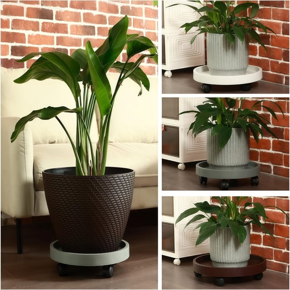 8pcs Heavy-Duty Rolling Plant Stand with Lockable Wheels & Saucer Tray ...