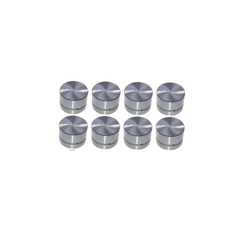 8pcs-Hydraulic Valve Lifters, Engine Cam Lifters, 11321748880 Fit for ...