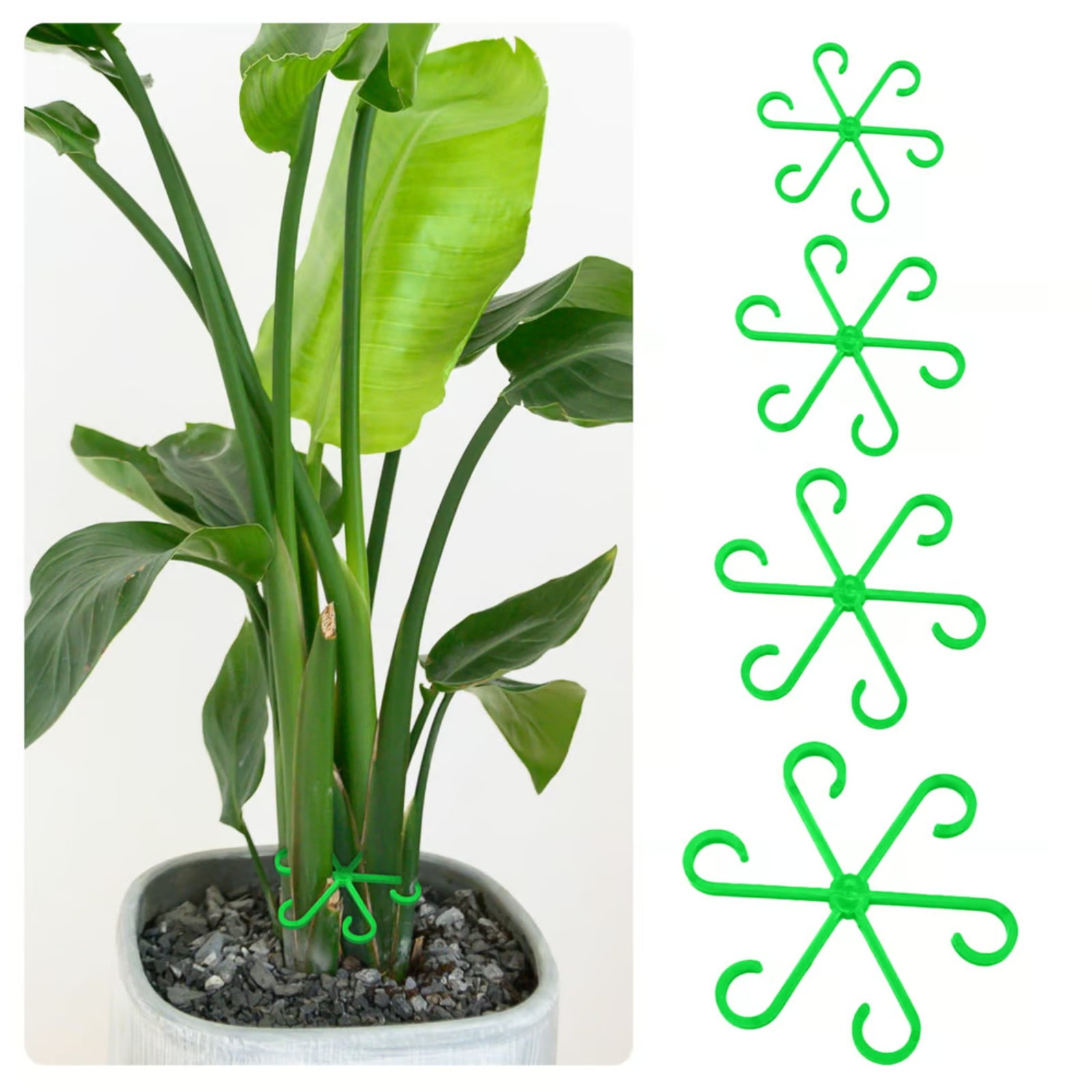 8pcs Plant Stem Support, Climbing Houseplant Stem Supports, Plastic ...