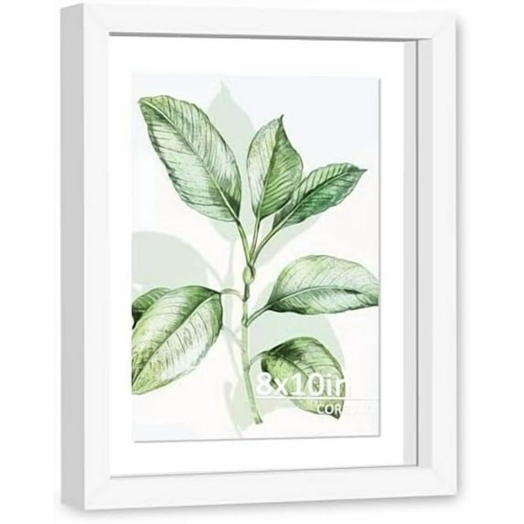8x10 Floating Picture Frame,Double Plexglass Floating Frame for 5x7,4x6 ...