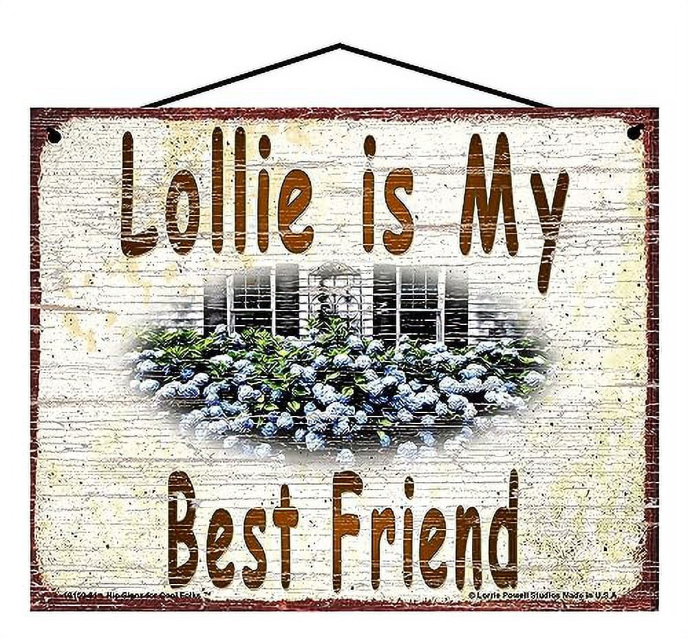 8x10 Lollie is My Best Friend Hydrangea Floral Decorative Sign ...