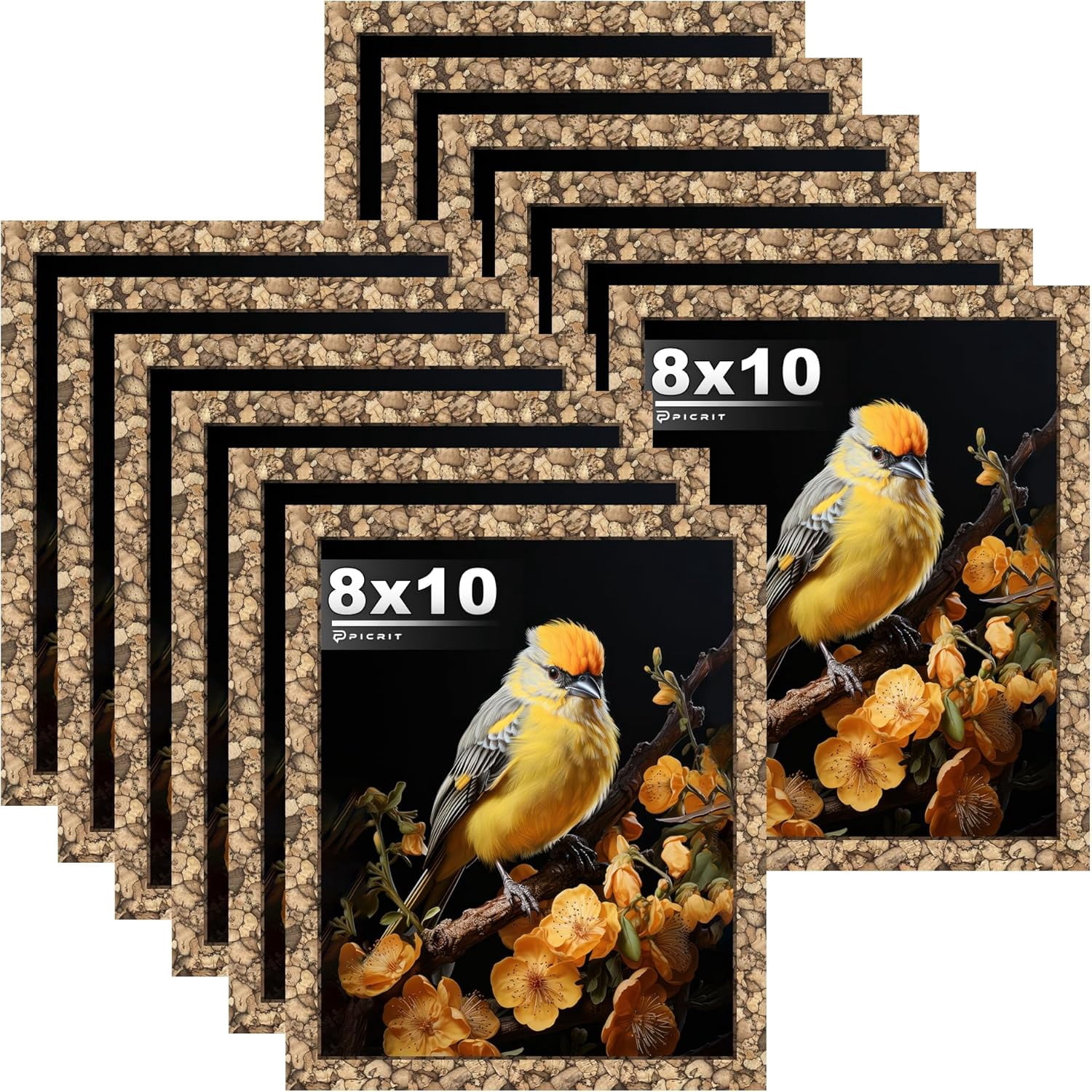 8x10 Picture Frame Set of 12, Display 5x7 with Mat or 8x10 Without Mat ...