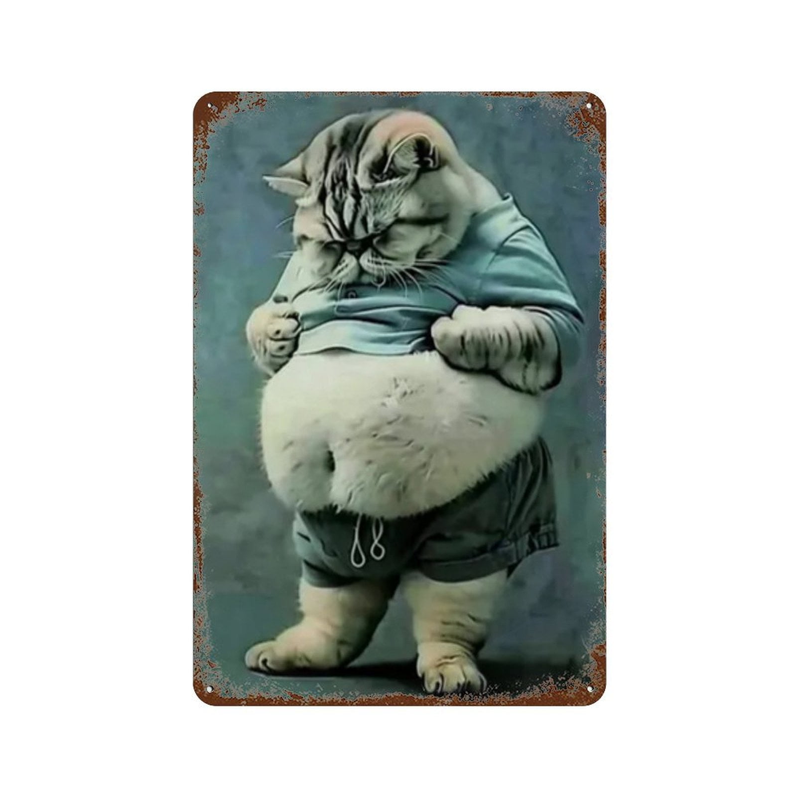 8x12 Inch 1piece Canvas Wall Art Funny Cute Fat Cat with A Poster ...