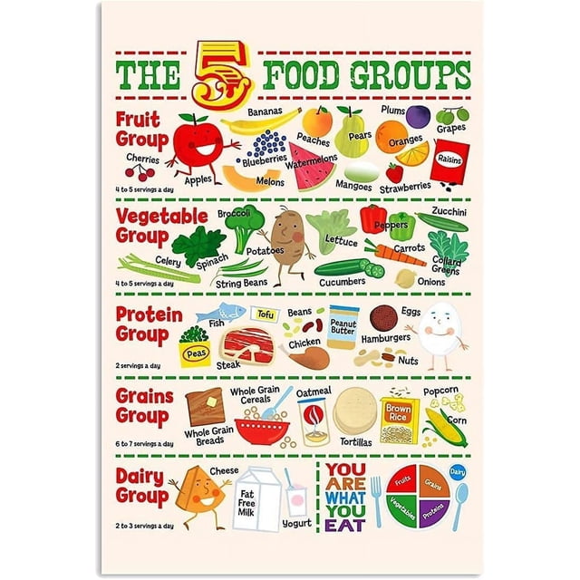 8x12 Inch The 5 Food Groups Metal Signs Club Decor Nutritionist ...