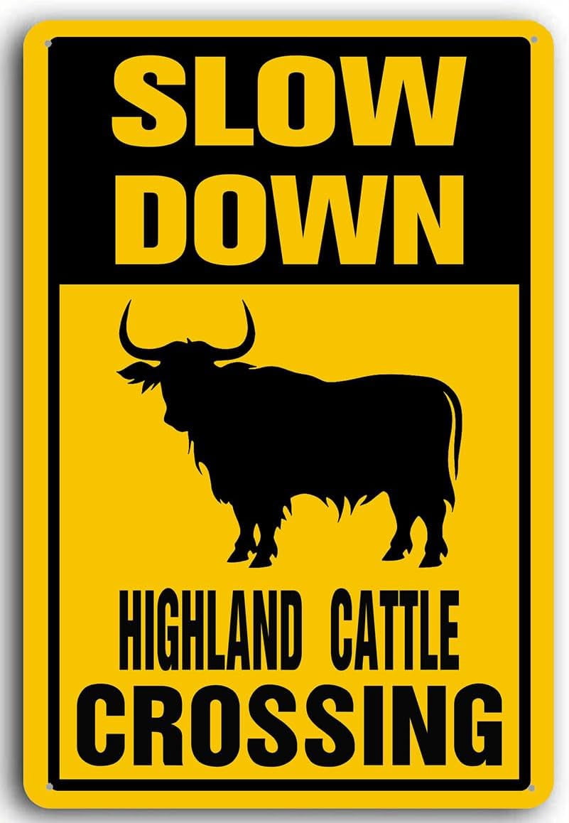 8x12 Inch Aluminum Slow Down Highland Cattle Crossing Sign Slow Down ...