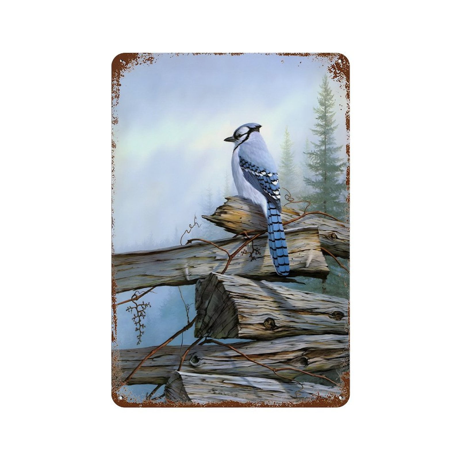 8x12 Inch Animal Bird Blue Jay Tin Metal Decorative Wall Paintings ...