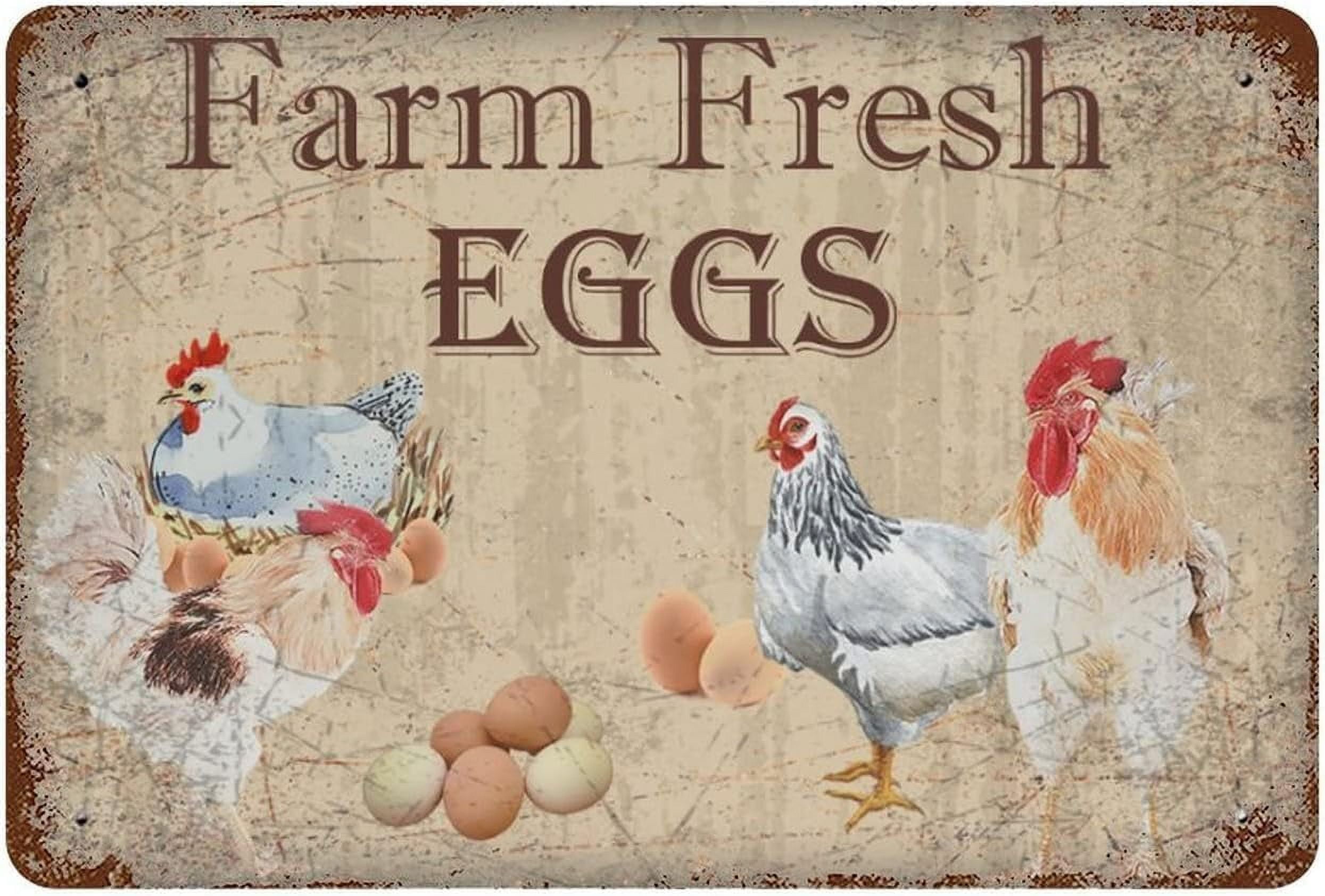 8x12 Inch Farm Fresh Eggs Tin Signs - Vintage Country Chicken Hen ...
