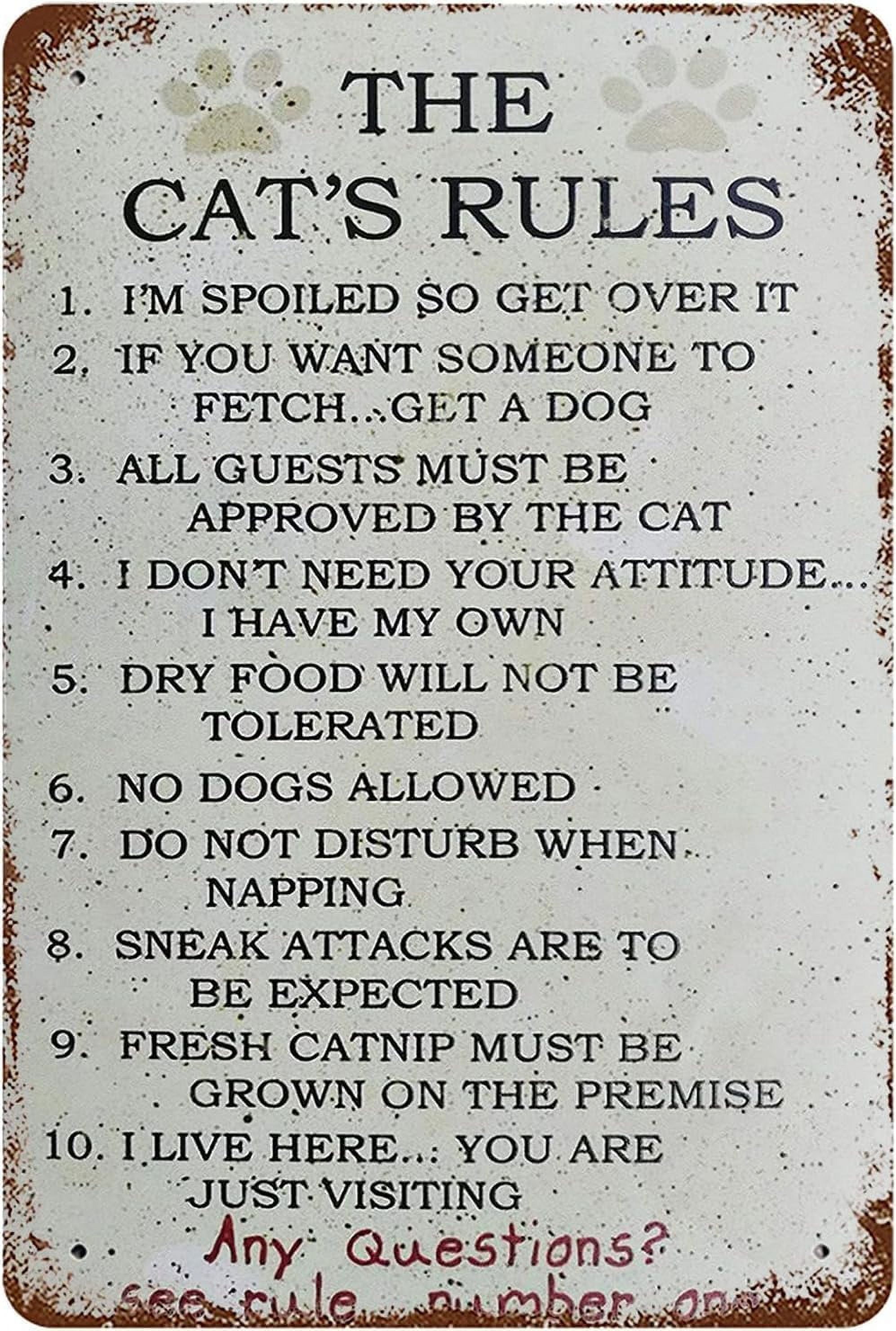 8x12 Inch Metal Sign Vintage The Cat'S Rules, Retro Wall Decor Cats ...