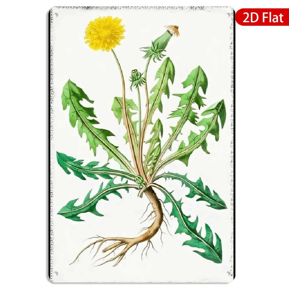 8x12 Inch Metal Wall Art Vintage Dandelion Botanical Illustration ...