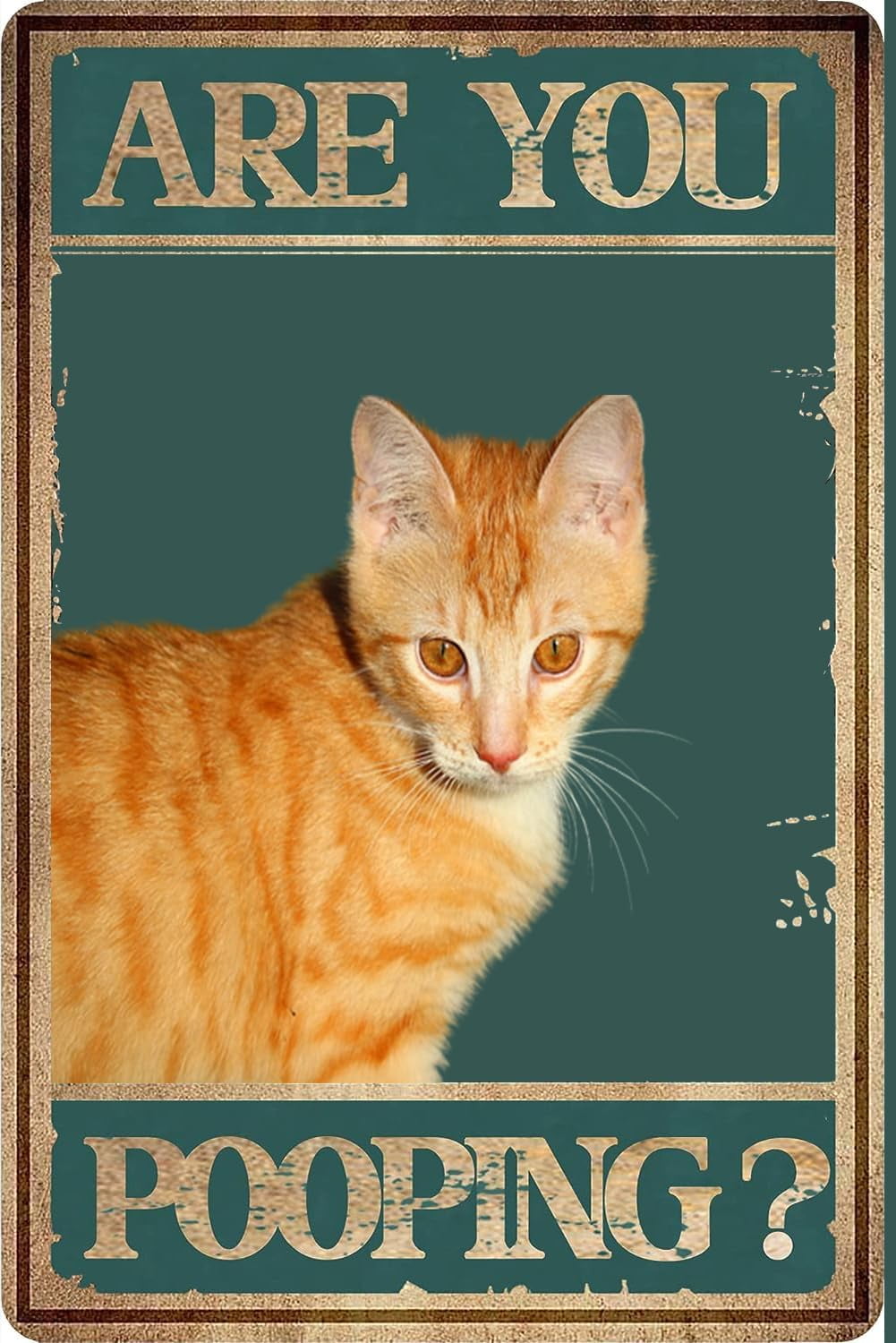 8x12 Inch Retro Tin Sign Cat Are You Pooping Metal Signs Bathroom Home ...