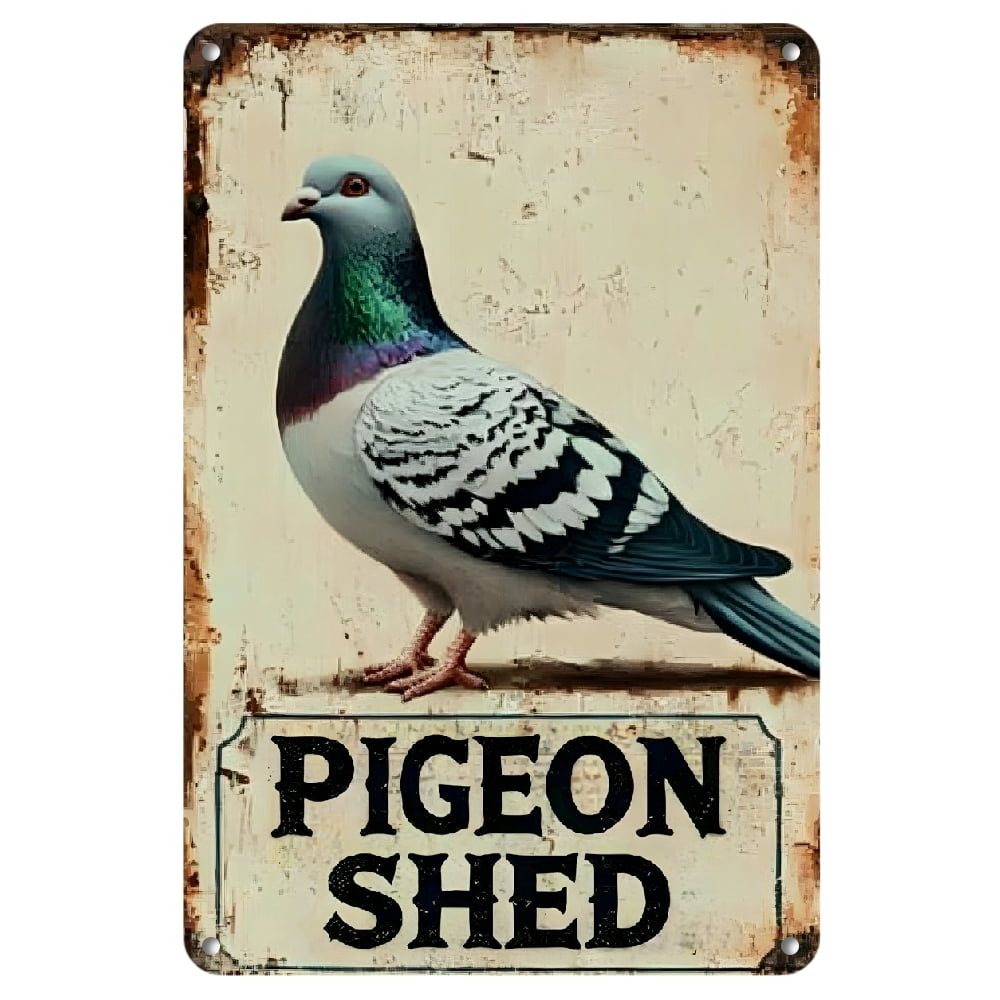 8x12 Inch Rustic Vintage Pigeon Illustration Tinplate Decor, Durable ...
