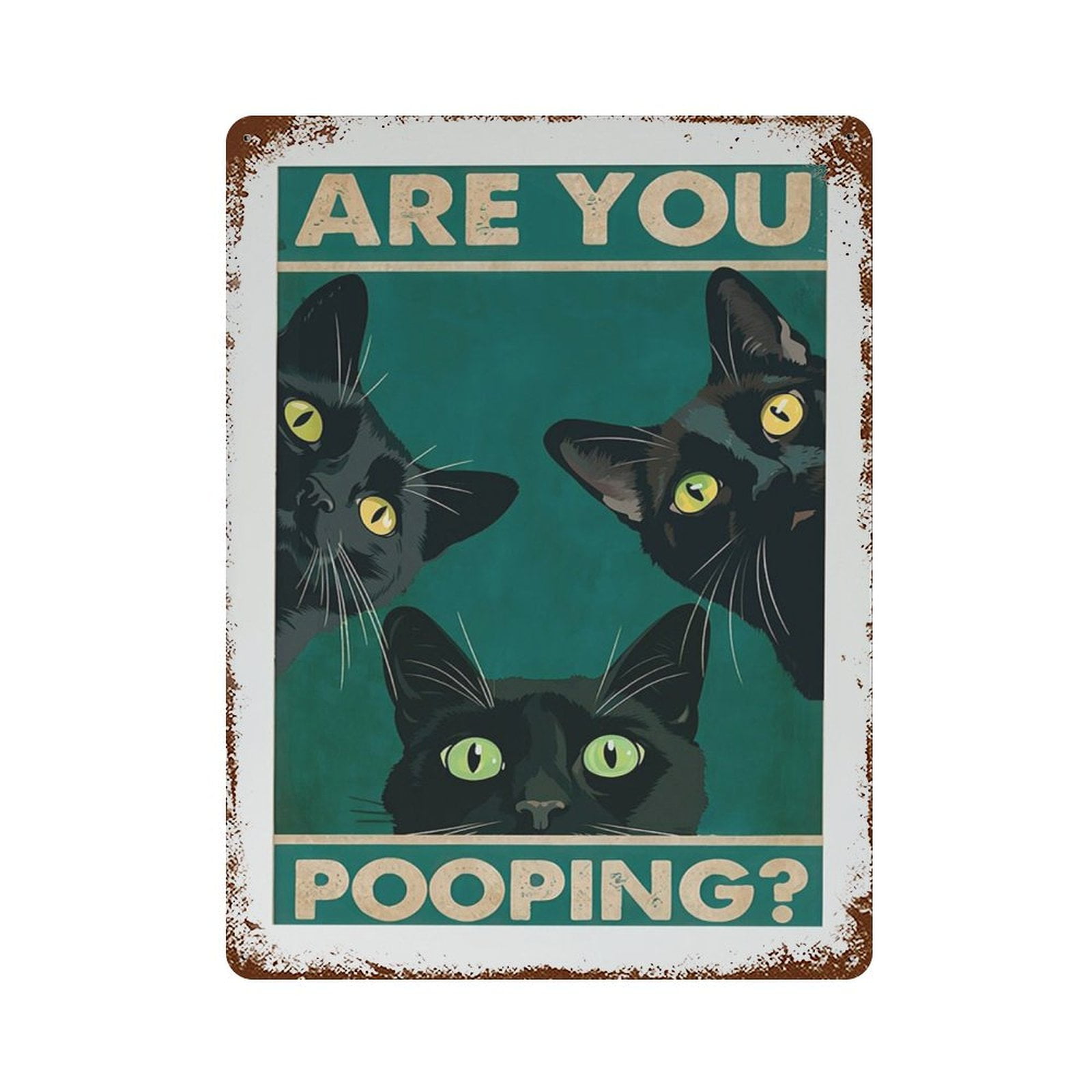 8x12 Inch Are You Pooping Cat Print, Cat Printable Bathroom Decor ...