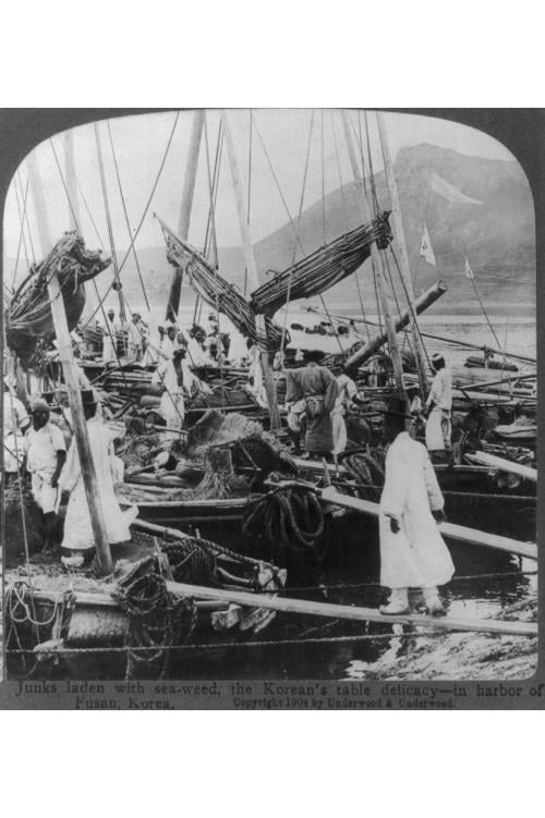 8x12 Photo: Junks laden with sea-weed,the Korean's table delicacy in ...